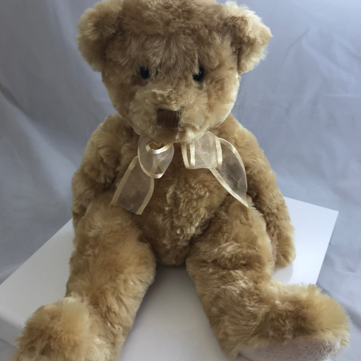 Golden Teddy Bear – Cape Cod Chocolatier