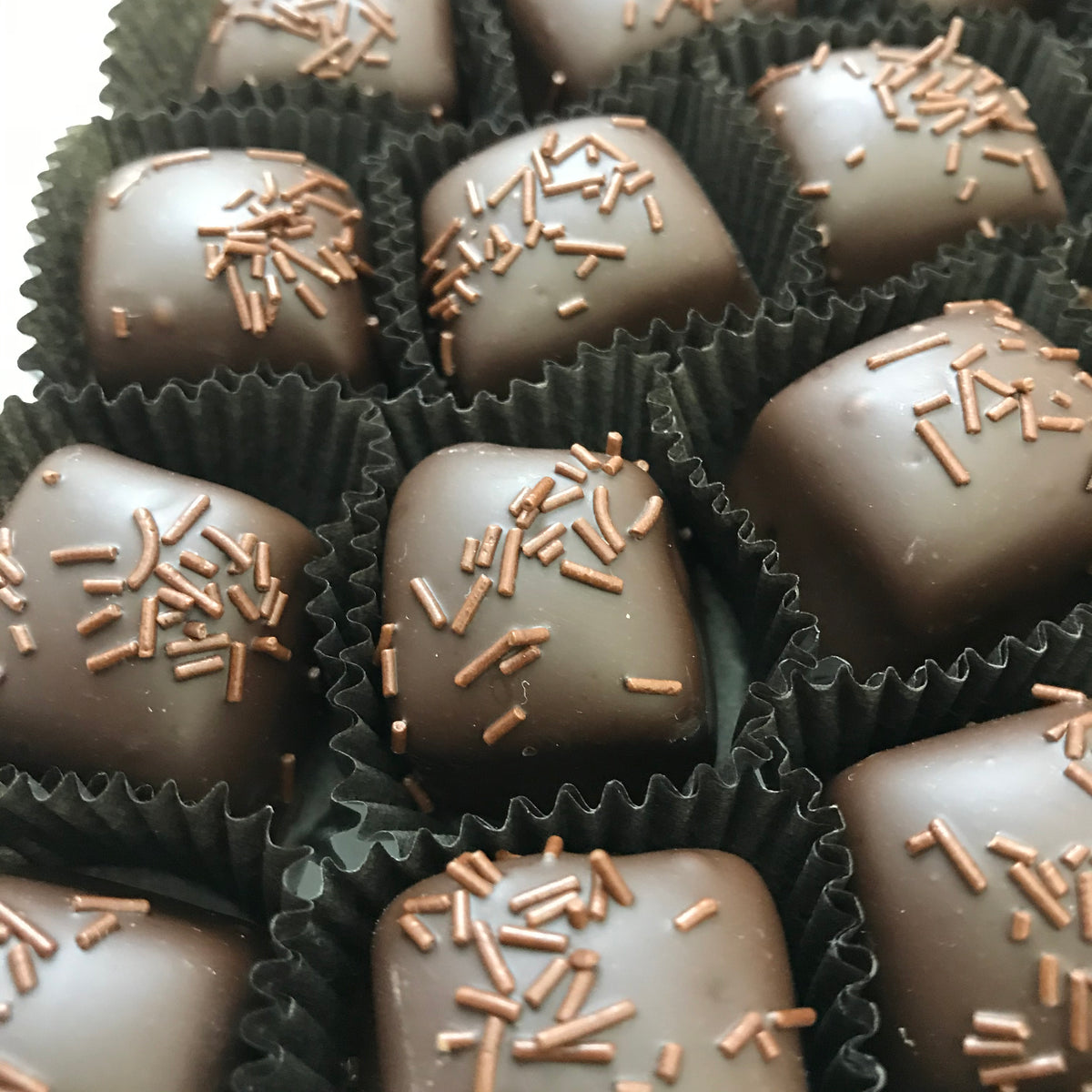 Pecan Caramels Chocolate Coated – Cape Cod Chocolatier